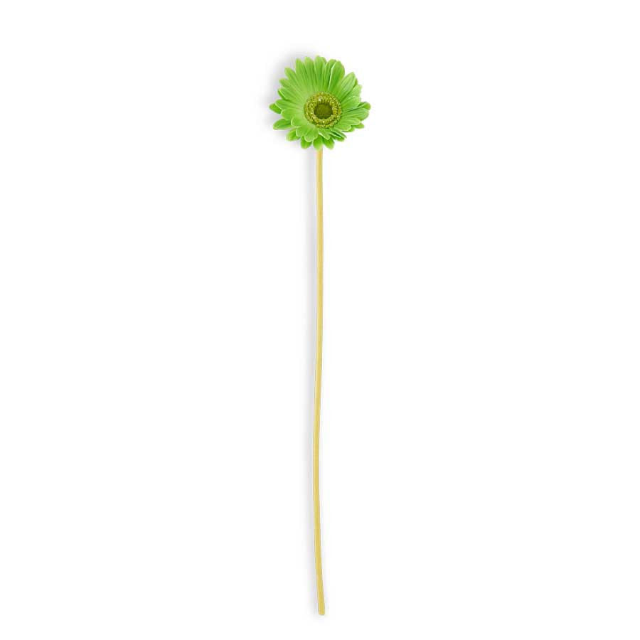 Gerbera Daisy Stem – E.T. Tobey Company