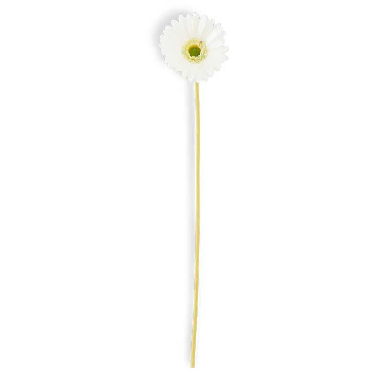 Gerbera Daisy Stem – E.T. Tobey Company