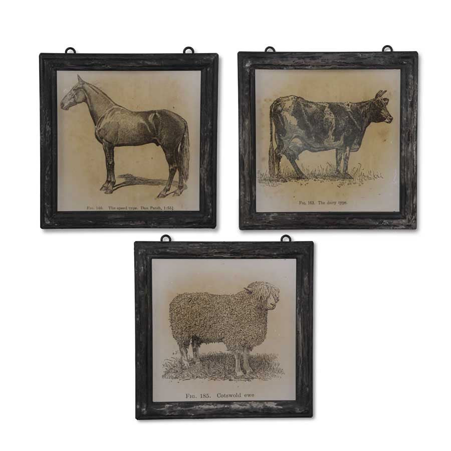 Square Animal Prints – E.T. Tobey Company